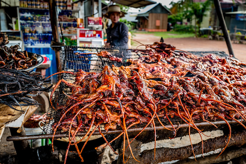 Cambodia-Rat-Barbecue - Ralf Kayser